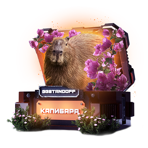 kapibara - Case on GGSTANDOFF